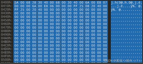 利用010进行简单的pe文件分析010 如何解析文件 Csdn博客
