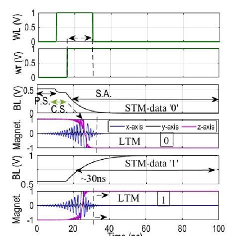 The Proposed Stm Ltm Memory Architecture With Vm And Nvm Components