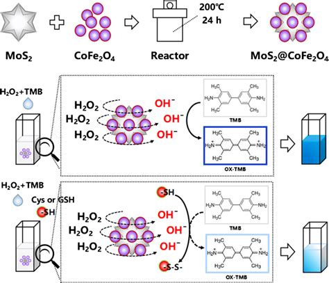 The Colorimetric Strategy Based On Highly Efficient Catalytic Download Scientific Diagram