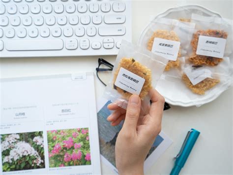 Mastering Your Chinese Language Skills A Guide To Input Method Chinese