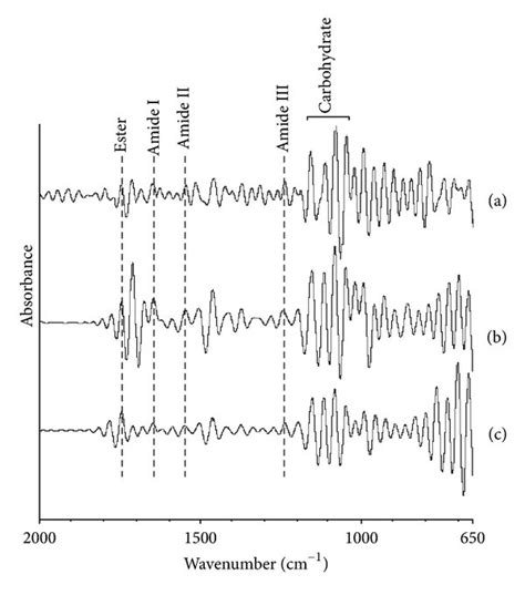 Fourier Self Deconvolution Ft Ir Spectra In The 2000 650 Cm⁻¹ Region In Download Scientific
