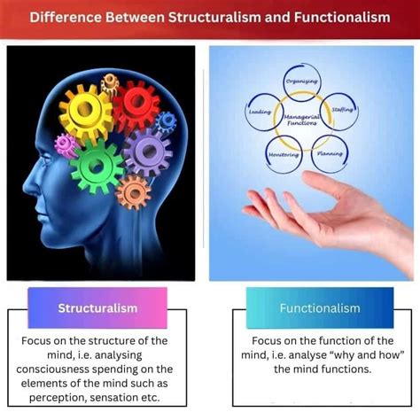 Structuralism Vs Functionalism Difference And Comparison