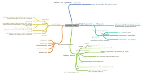 Mendelian Genetics Concept Map Printable Pdf Template