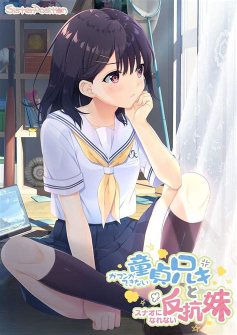 Jp ガマンができない童貞兄キとスナオになれない反抗妹 外見ズボラの妹妹乃・妹生・妹背山b2タペストリー付 Pcソフト