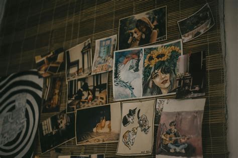 Photo Collection · Free Stock Photo