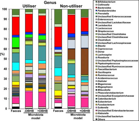 Genus Level Classification Of Bacteria In The Original Faecal Samples Download Scientific