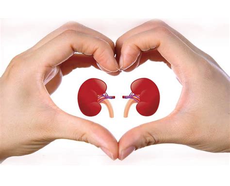 Paediatric Urology Hospital In Bangalore Pediatric Urology Treatment