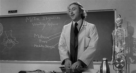 Young Frankenstein 1974 Eporner