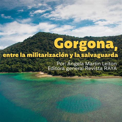 Ataque De Raya Gigante 15 Curiosidades De La Mantarraya Que Aclararán