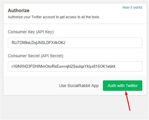 Twitter Authorization For Wordpress Social Rabbit Plugin
