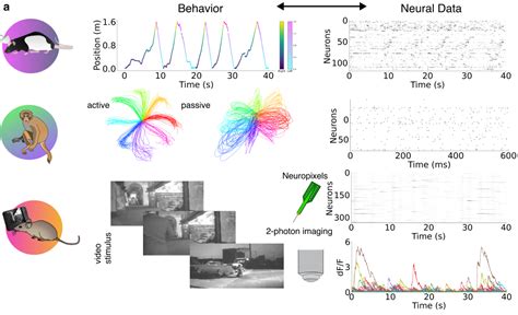 Learnable Latent Embeddings For Joint Behavioral And Neural Analysis