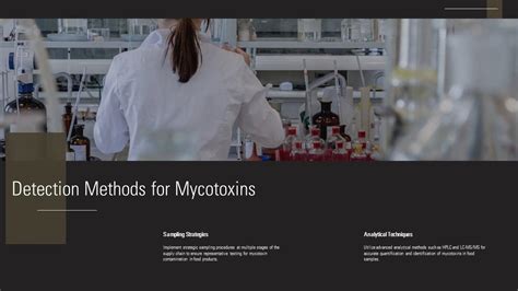 Detection Methods For Mycotoxins Mycotoxin Ppt Mockup St Ai Ss Ppt Sample