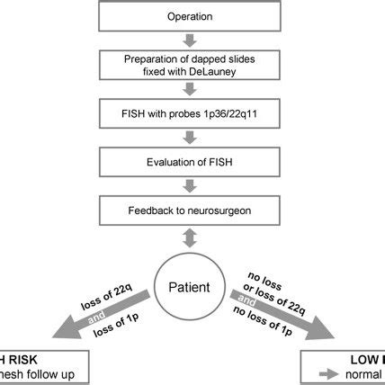 The Workflow Of The Cytogenetic Diagnostic In Clinical Practice Download Scientific Diagram
