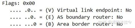 Ospf Lsa详解 知乎