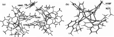 A Supramolecular Interactions Involving Guest Molecule And Two