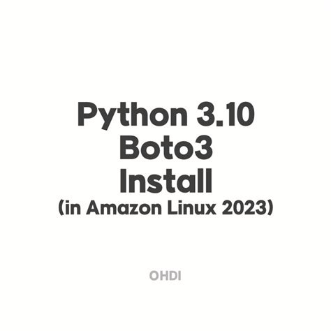 Python 310 Boto3 설치 Amazon Linux 2023 Ohdi Travel