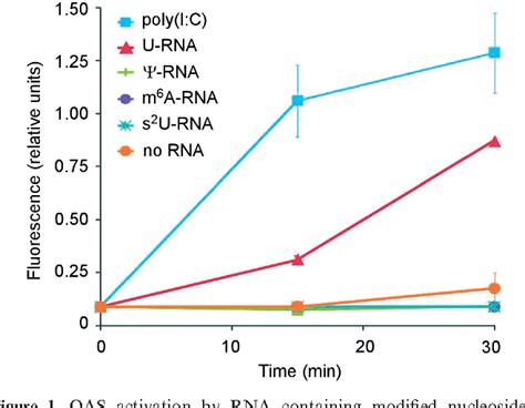 Figure 1 From Nucleoside Modifications In Rna Limit Activation Of 2′ 5′ Oligoadenylate