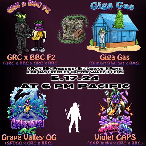 Robin Hood Seeds Cannabis Seeds For Sale North Atlantic Seed Co