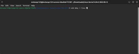 Installing The Linux Kernel 600 Rc5 In Ubuntu Moisés Cardona