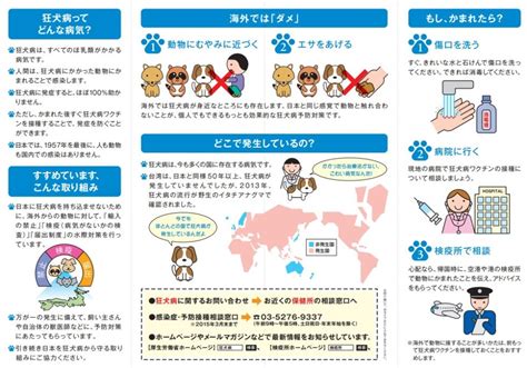 パタヤ：狂犬病防止の為、ワクチンを無料接種