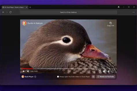 Multiplatform Privacy Browsers Duckduckgo Windows Browser