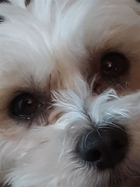 About Slaps Lab Medium