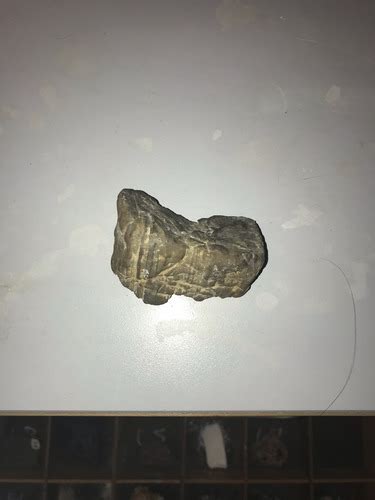 Sedimentary Rocks Quiz Flashcards Quizlet