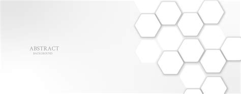 흰색 추상 3d 벽 텍스처 는 육각형을 양각 벡터 배경 3d 종이 아트 스타일 벌집 흰색 배경 빛과 그림자 벡터 추상 배경