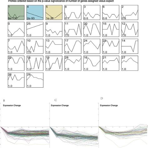 Stem Clustering Based On Different Abundance Protein A Each Square