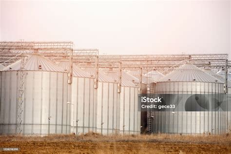 사료 공장 공장에서 농업 사일로 사료 제조에 곡물을 저장하기위한 큰 탱크 먹이기에 대한 스톡 사진 및 기타 이미지 먹이기 제조 공장 공장 산업 건물 Istock