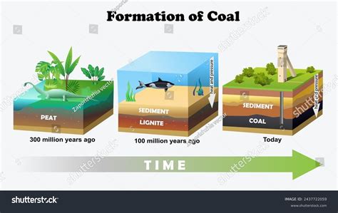 Coal Formation Coal Formation Types And Importance Online Science