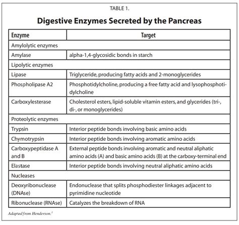 Exocrine Functions Of The Pancreas Deranged Physiology