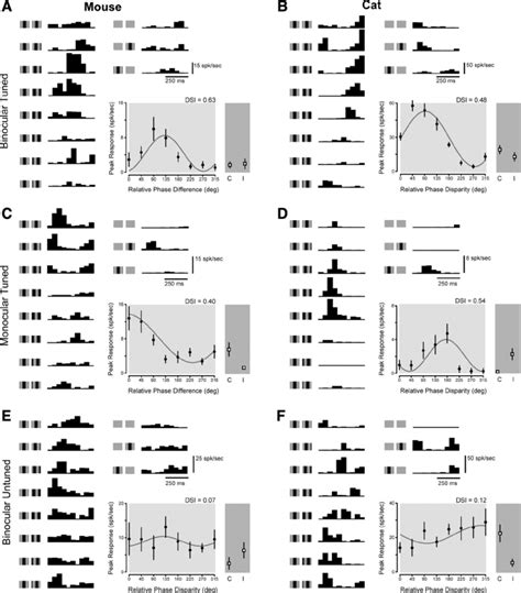 Simple Cell Disparity Selectivity In Mouse And Cat A Binocular Download Scientific Diagram