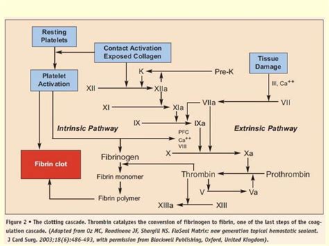 Local Hemostatic Agents2 Ppt