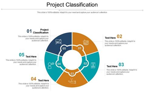 Project Classification Ppt Powerpoint Presentation Icon Designs Cpb