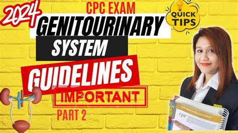 CPC EXAM Genitourinary System Guidelines Medical Coding YouTube