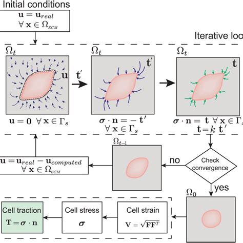 scheme of the iterative workflow during the iterative loop three