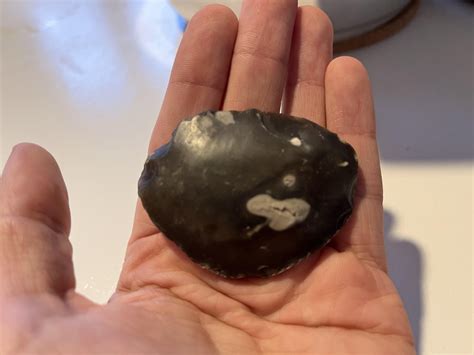 Crab Fossil R Fossilid