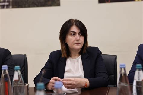 საქართველოს რეგიონული განვითარებისა და ინფრასტრუქტურის სამინისტრო 🟦რეგიონული განვითარებისა და