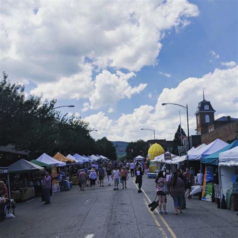 Your Guide To Brevards Amazing 2025 White Squirrel Weekend