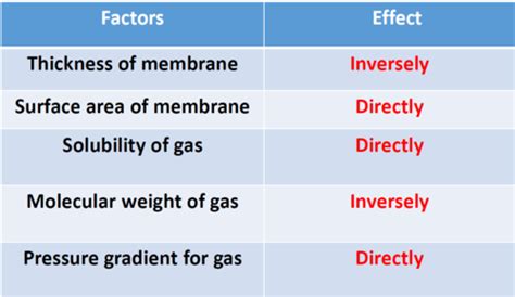 L Gas Diffusion Flashcards Quizlet