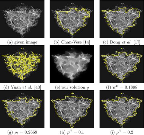 Figure 41 From Image Segmentation By Convex Approximation Of The Mumford Shah Model Semantic