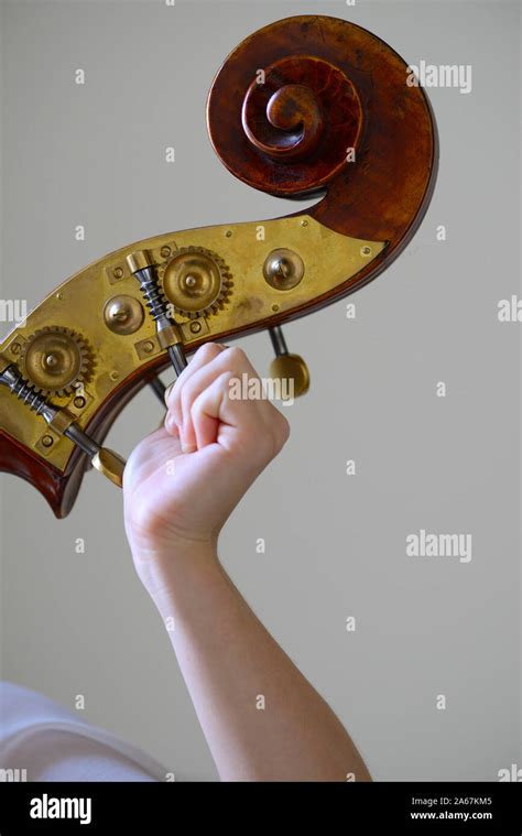 Woman Tuning His Double Bass Stock Photo Alamy