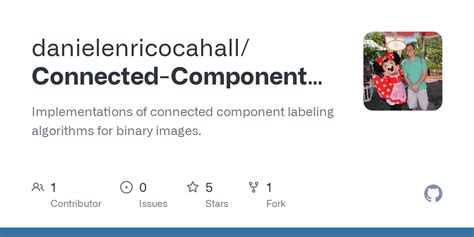 Github Danielenricocahallconnected Components Labeling