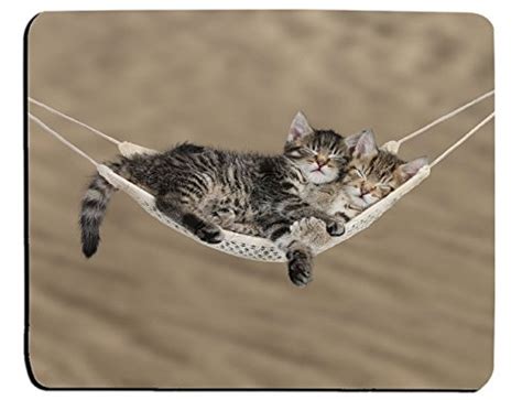 Cute Tabby Kittens Sleeping In A Hammock Mouse Pad Mousepad Cats