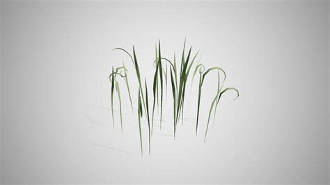 3d Model Fantasy Grass Vr Ar Low Poly Cgtrader