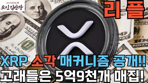 리플 Xrp Xrp 소각 매커니즘 공개 고래들은 5억9천개 매집 오늘밤 급등 신호 발생 3580원 돌파 하면 가격은 미친 슈팅 예상 Youtube