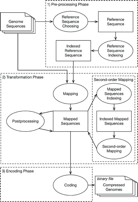 Conceptual Compression Flow The Conceptual Vision Of The Activities