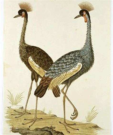 Mits Mosaic Algorithm Finds Connections Between Art Across Cultures