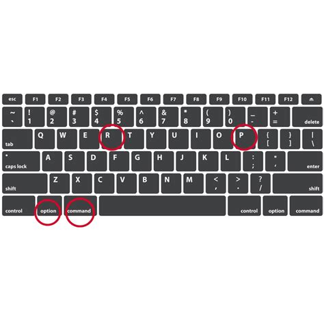 Macbook Touchpad Not Working Easy Fix Macally Blog